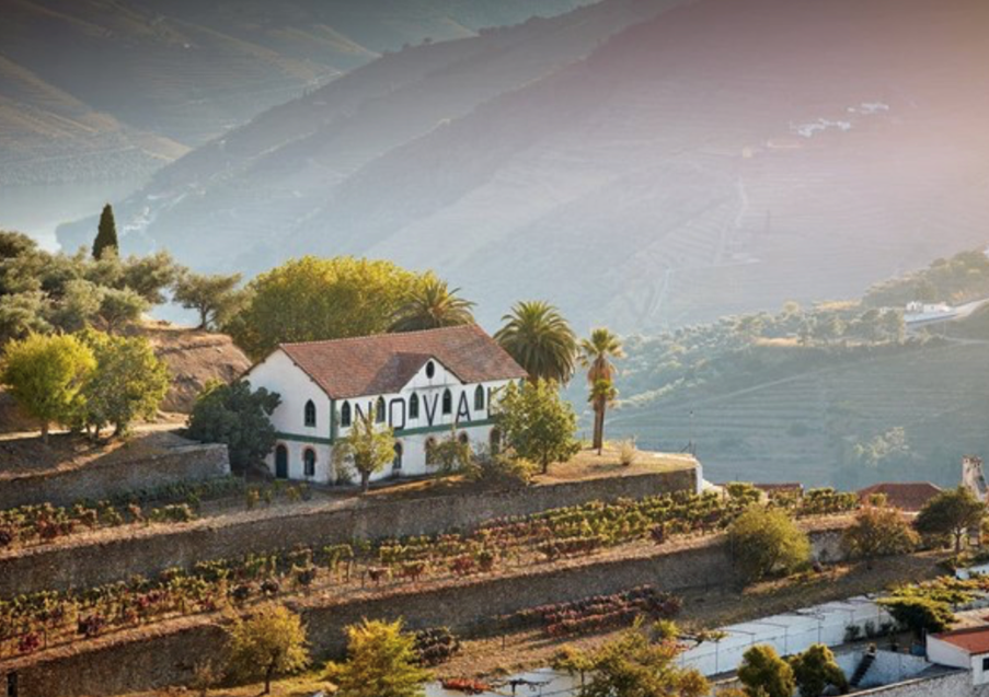 Noval and Nacional – International Fine Wines