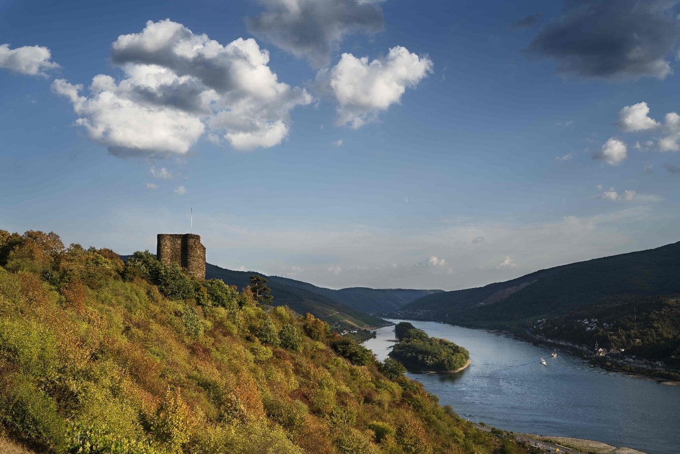 Eva Fricke – International Fine Wines