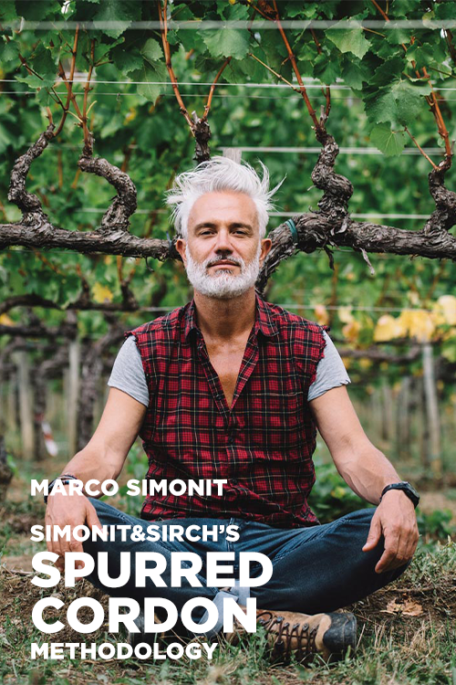 Simonit & Sirch's Cordon Methodology by Marco Simonit – International ...